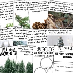 Classroom Christmas Tree Theme Day - Megan Mitchell