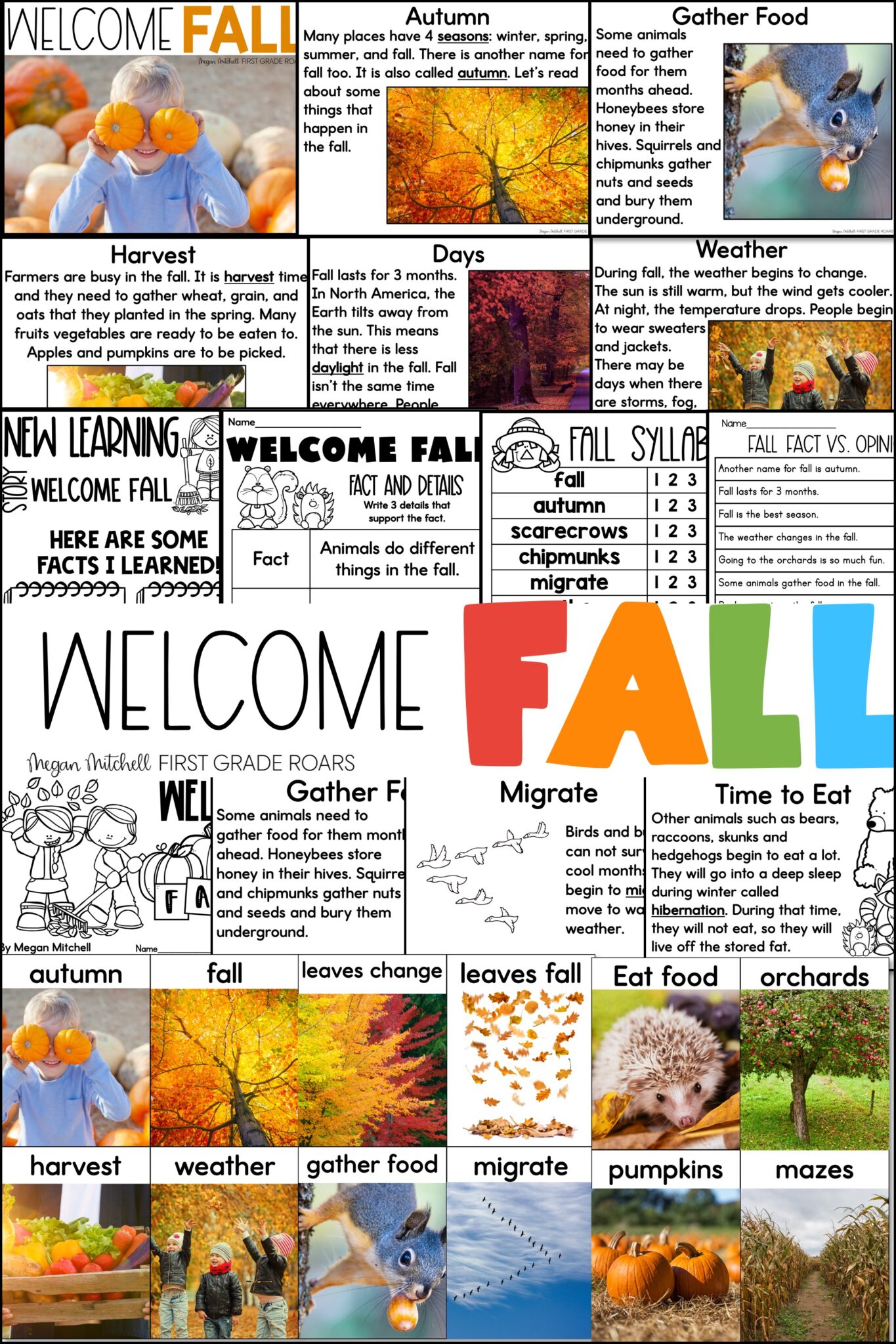 6 Fall Picture Books Your Students Will Love