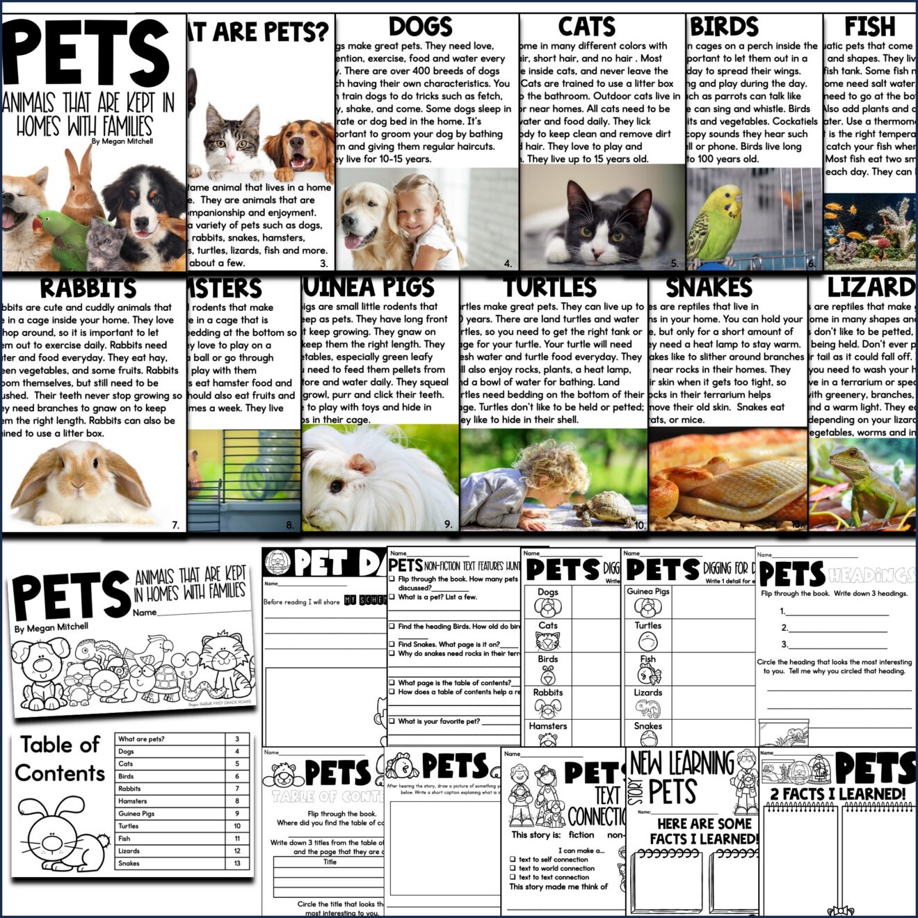 Paws-itively Fun Pet Day Activities - Megan Mitchell