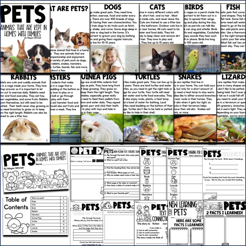 Paws-itively Fun Pet Day Activities - Megan Mitchell
