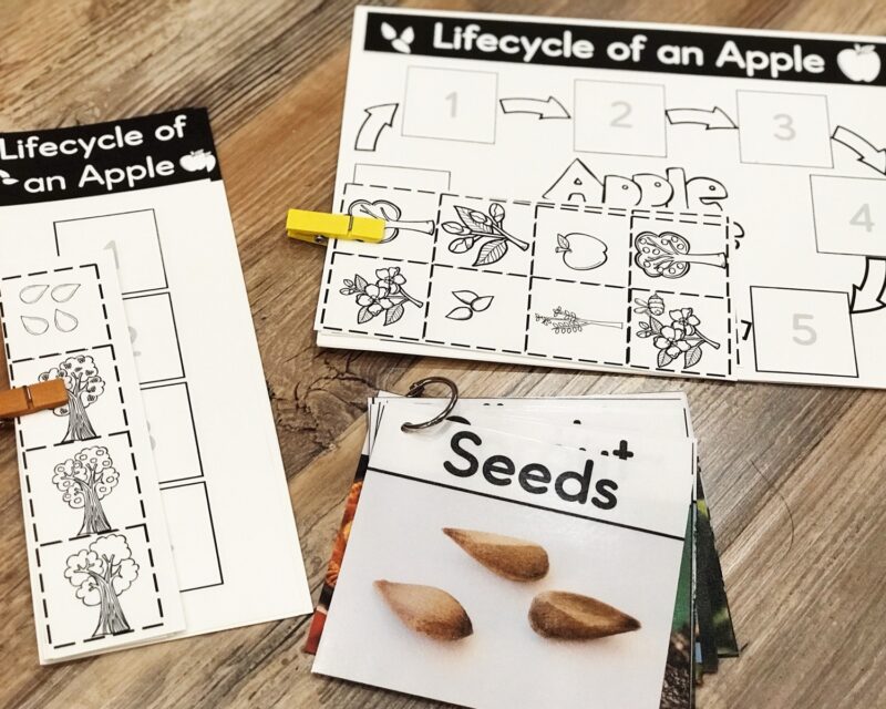 Apple Orchard Dramatic Play for the Classroom