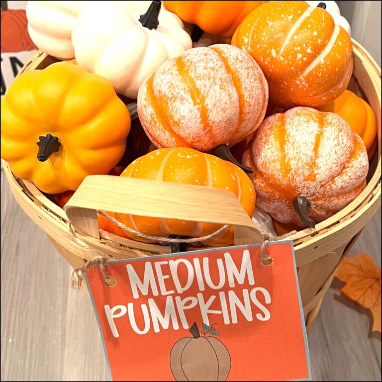 Pumpkin Patch Dramatic Play - Megan Mitchell