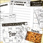 Pumpkin Patch Dramatic Play - Megan Mitchell