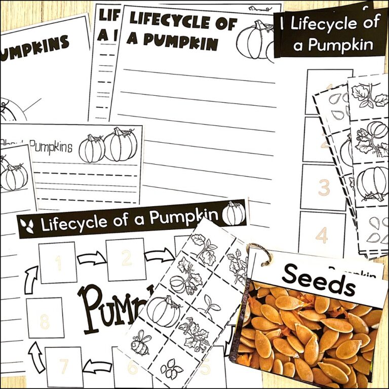 Pumpkin Patch Dramatic Play - Megan Mitchell