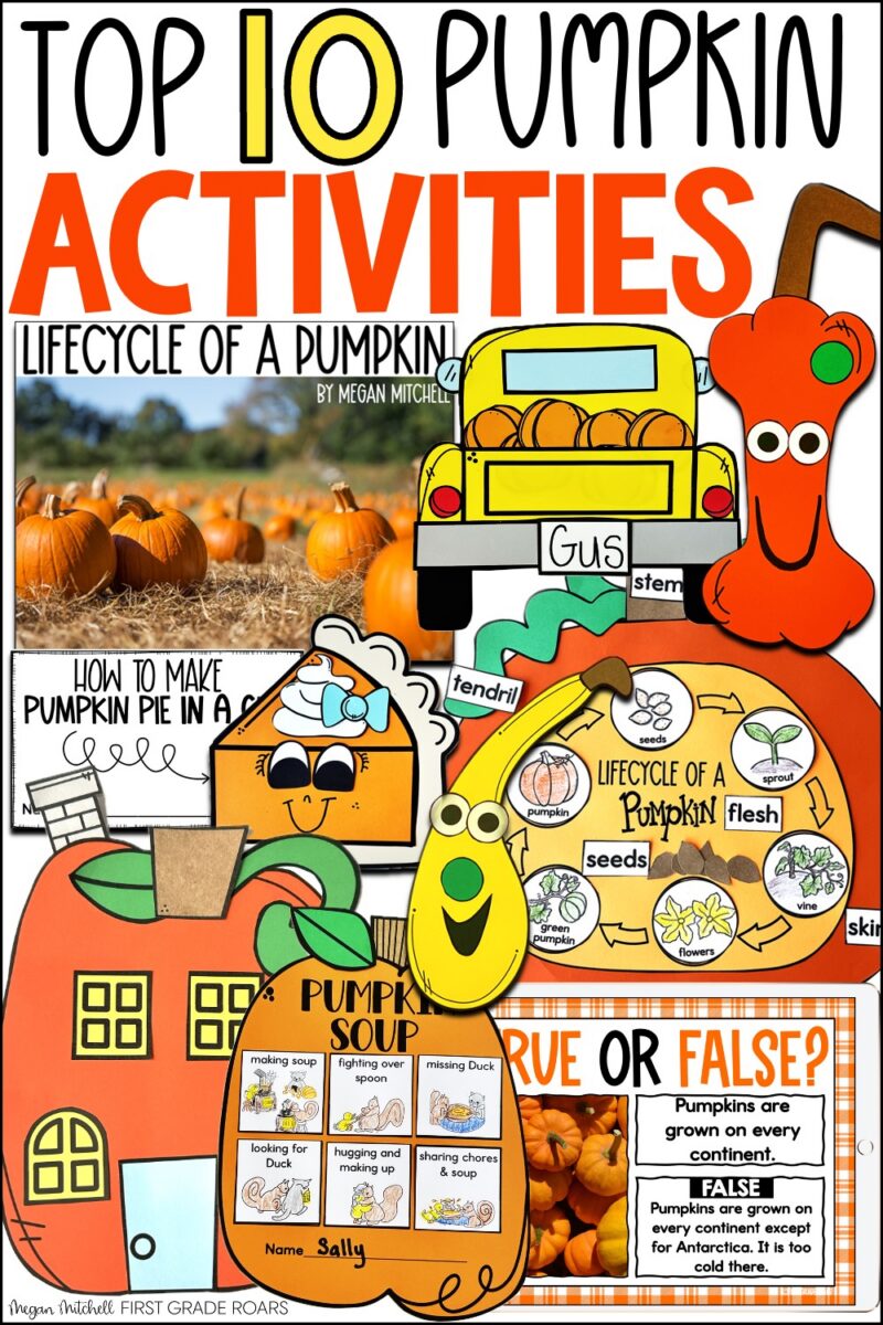 Top 10 Pumpkin Activities To Do After Halloween